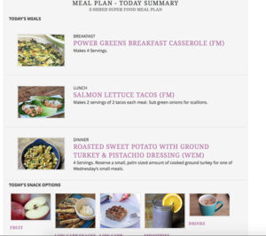 Z-SHRED SUPER FOOD MEAL PLAN FOR FAT LOSS