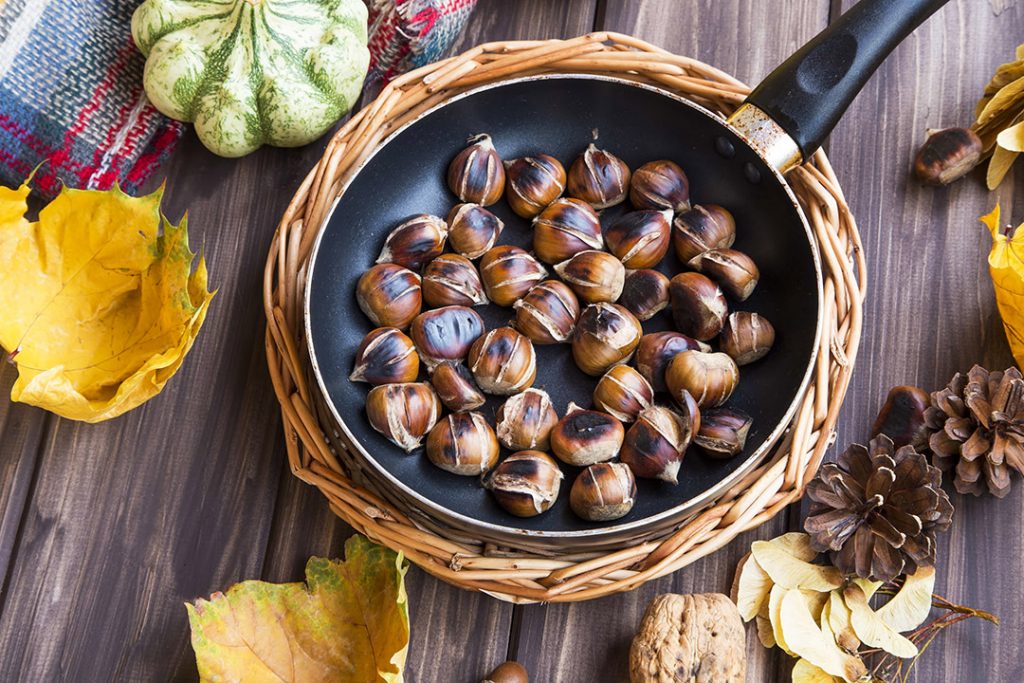 Chestnut: A Look Into the Holiday Treat