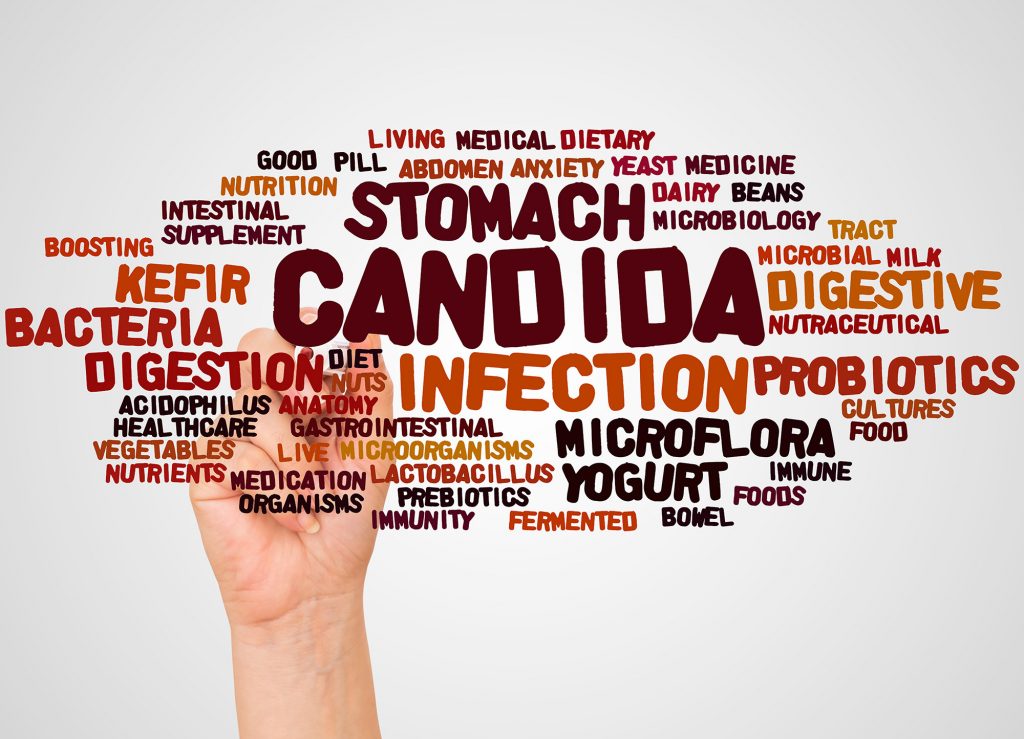 All About Candida